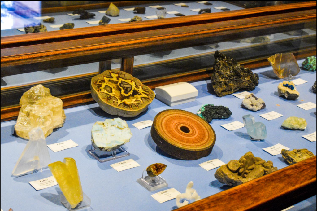 The Lafayette article on Geology Museum · Geology and Environmental ...